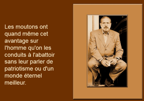 Humour caustique suite